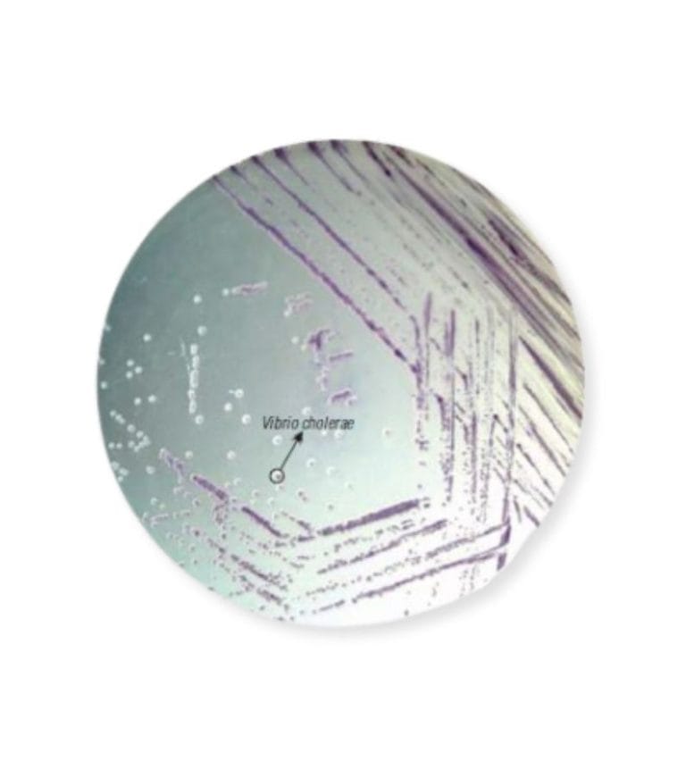 Extran® Detergente para laboratorios – Labomersa