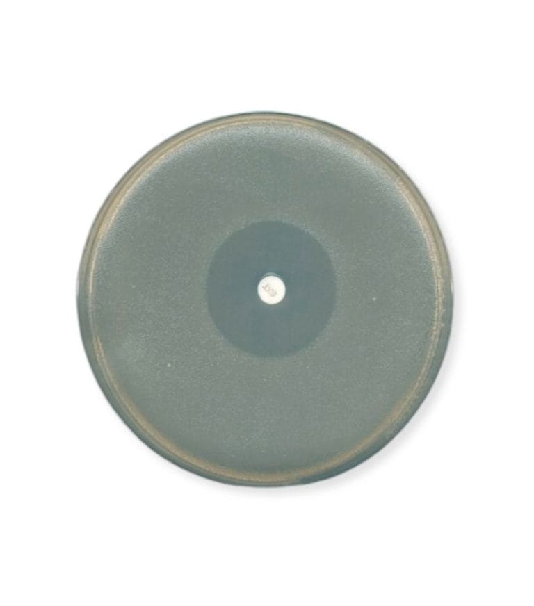 Sterikon Plus - Bioindicador Biológico para control de autoclaves ...
